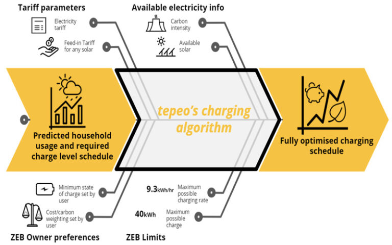 What happens inside a ZEB’s brain? | tepeo
